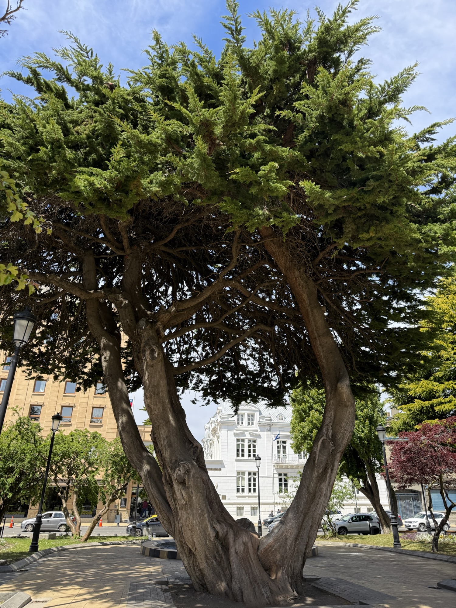 Punta Arenas, Argentina – Travels with Billie